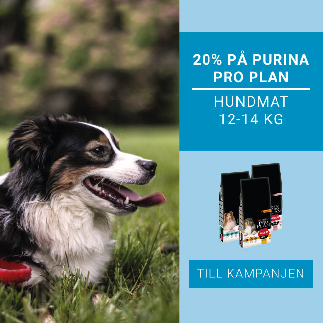 Kampanj hos VetZoo på Purina & PrimaDog!