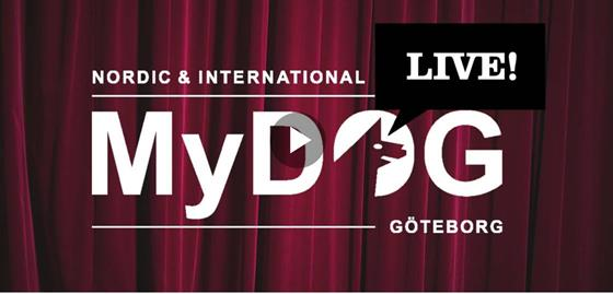 Resultat och live och allt du behöver veta inför MyDog 5-8 januari 2023